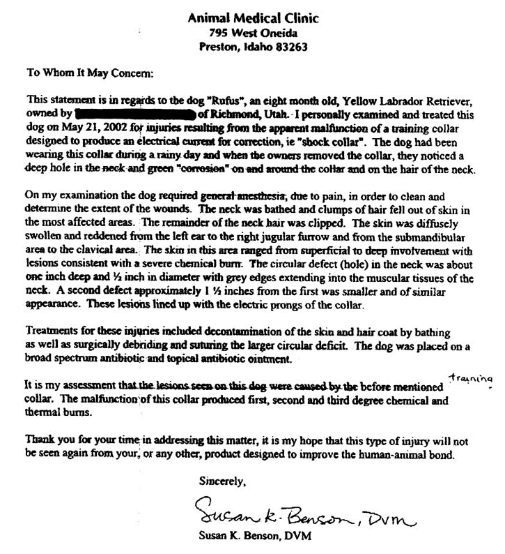 Vet School Personal Statement Gcisdk12 web fc2